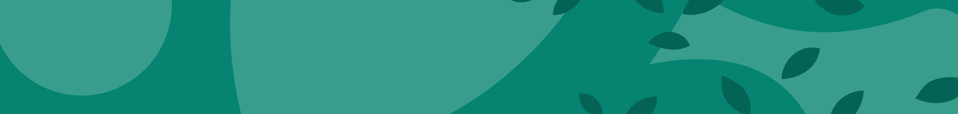 Actualités et projets - SMT